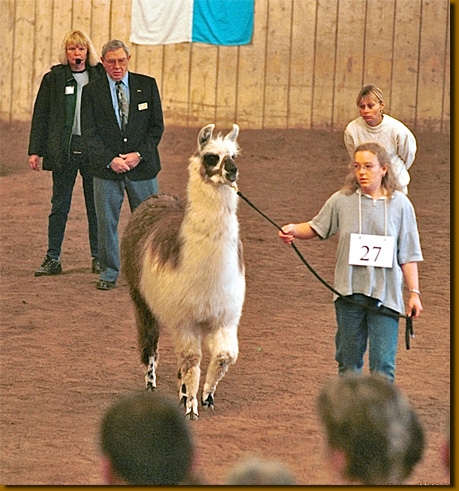 Lama-shows et sport